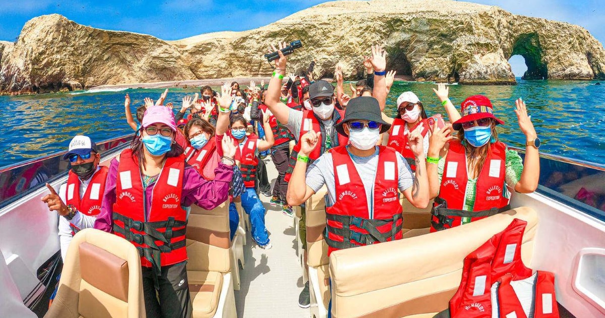 Tour delle Isole Ballestas | GetYourGuide
