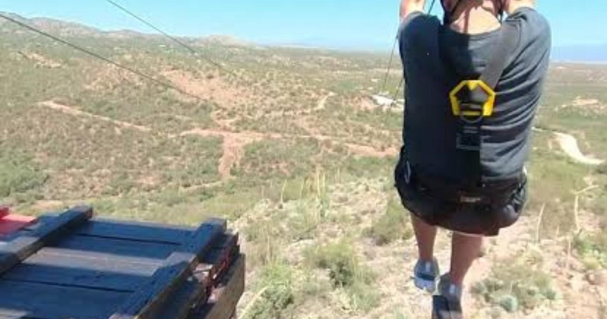 Zanzibar; Zipline Adventure & Explore Masingini Forest. | GetYourGuide