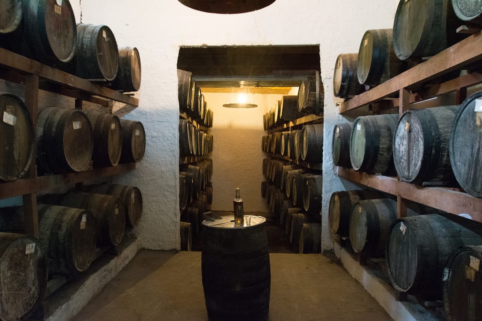 Wild Beaches and Brazilian Rum Farm with a Photographer | GetYourGuide