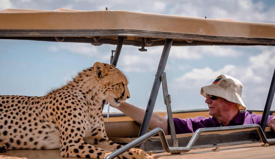 Tanzania: 10-Day Treasures of Wild Luxury Safari | amara | GetYourGuide