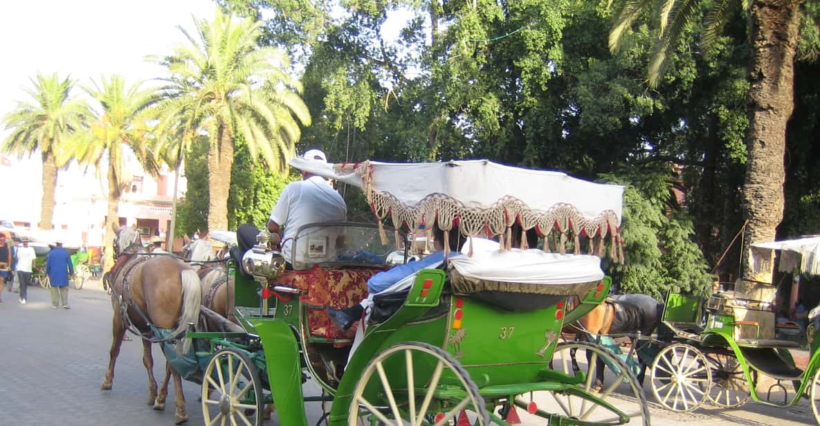 Marrakech : visite de la ville en calèche | GetYourGuide