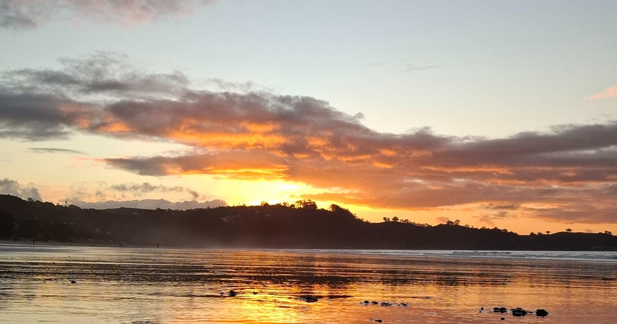 Waiheke Island: Sunset Tour with Wine Tastings & Dinner | GetYourGuide