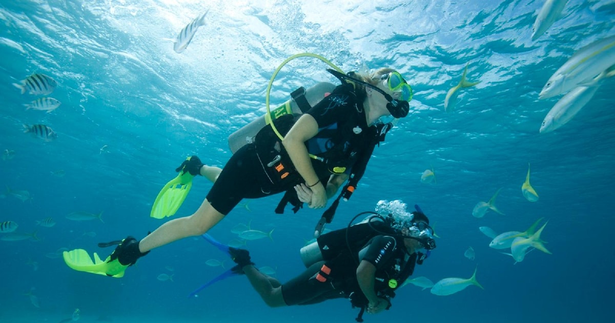 Gran Canaria: Scuba Diving for Beginners | GetYourGuide