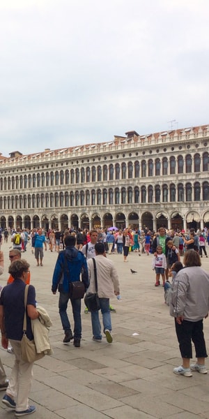 From Porec: Venice Catamaran Crossing One-Way or Round-Trip | GetYourGuide