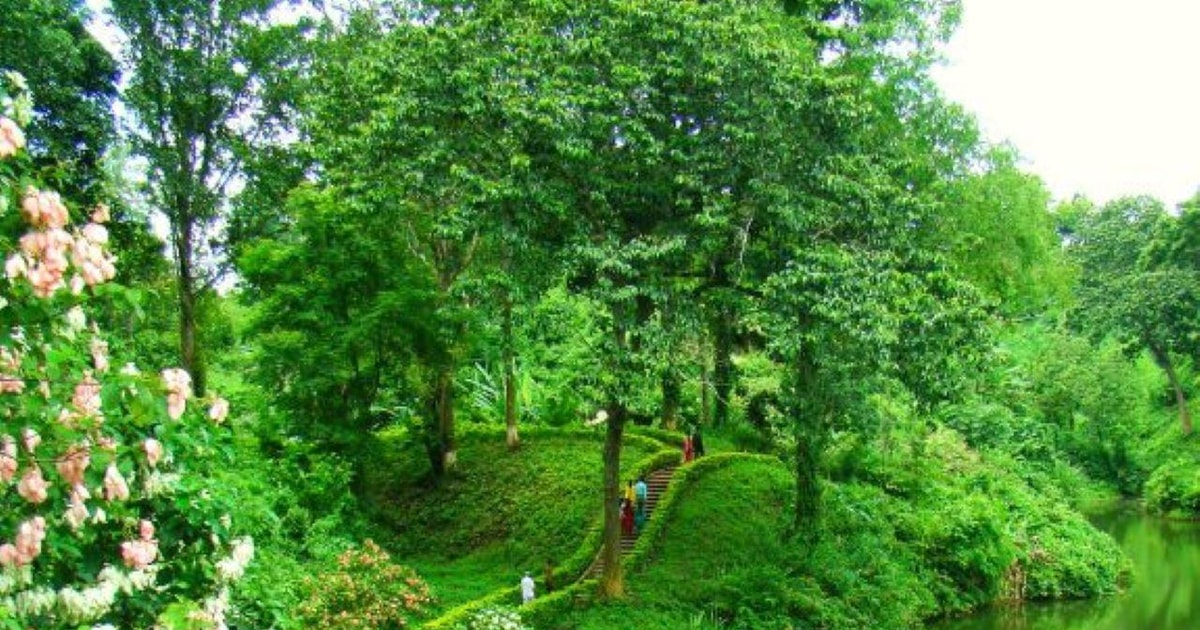 Ambasa: 2-Day Nature and Culture Tour with Breakfast | GetYourGuide