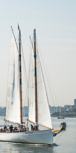 NYC: Hudson River Fall Foliage Sailing Trip | GetYourGuide