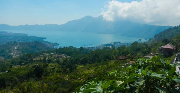 Bali: Scenic Ubud & Kintamani Volcano Private Full-Day Tour | GetYourGuide