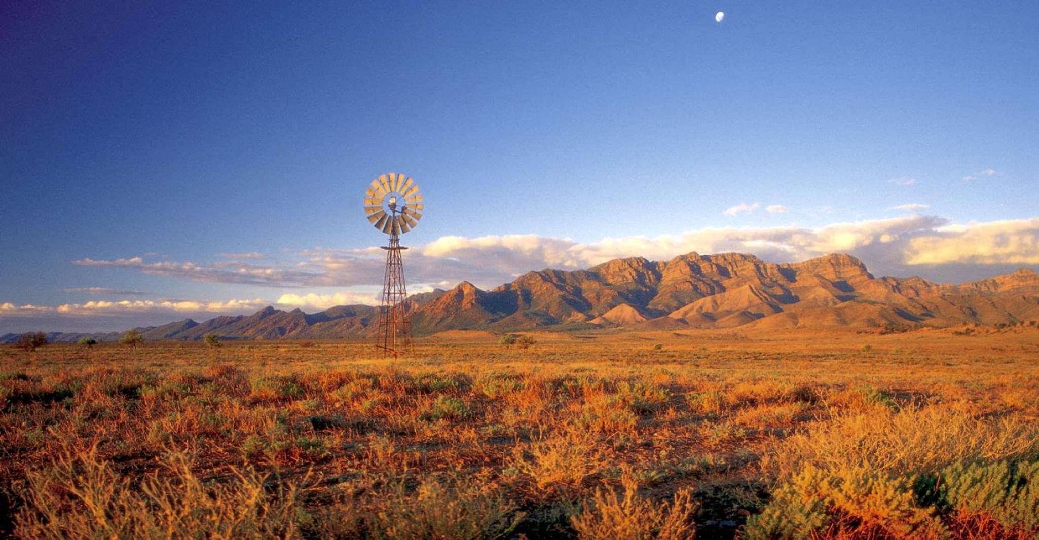 5-Day Flinders Ranges & Outback Eco Tour from Adelaide | Multi-day Trip ...