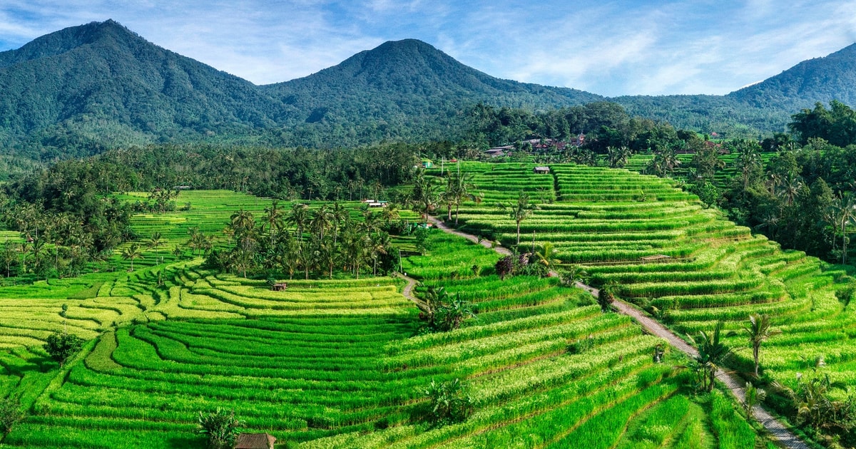 Jatiluwih (UNESCO Site) 2-Hour E-Bike Cycling Tour | GetYourGuide