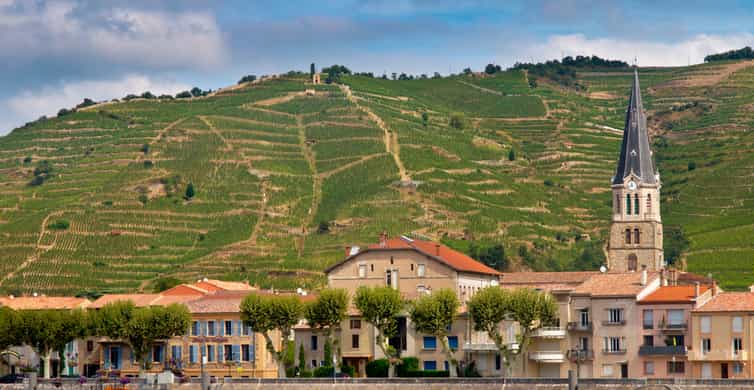 Lyon: Half-Day Vienne & Côte-Rotie Wine Tasting Tour | GetYourGuide