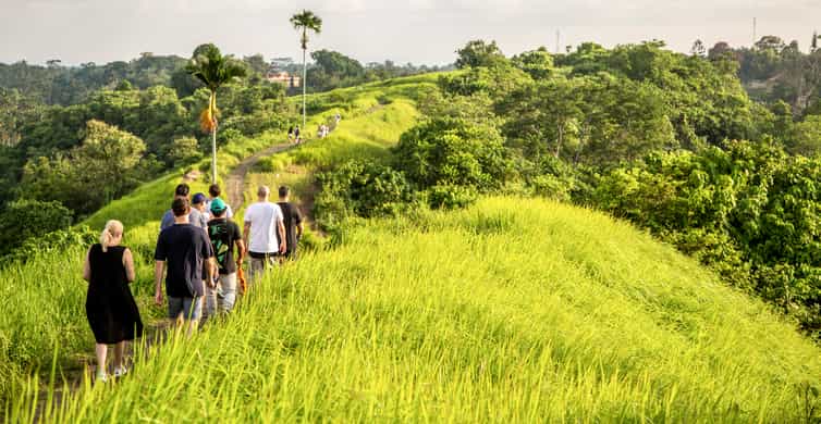 Ubud: 3-Hour Walking Tour with Lunch | GetYourGuide
