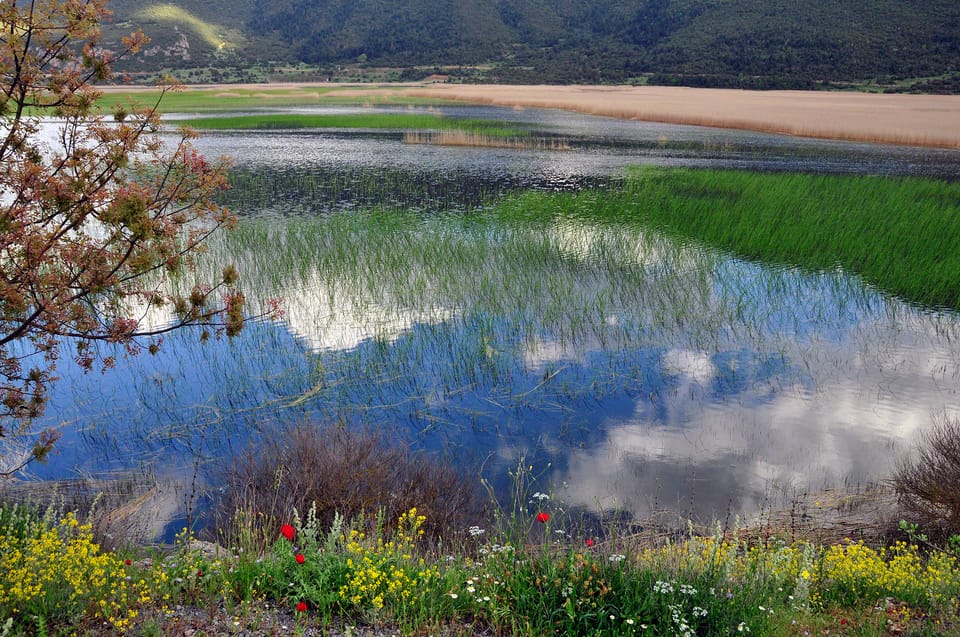 2 Labours of Hercules: Stymphalian Birds and the Nemean Lion | GetYourGuide