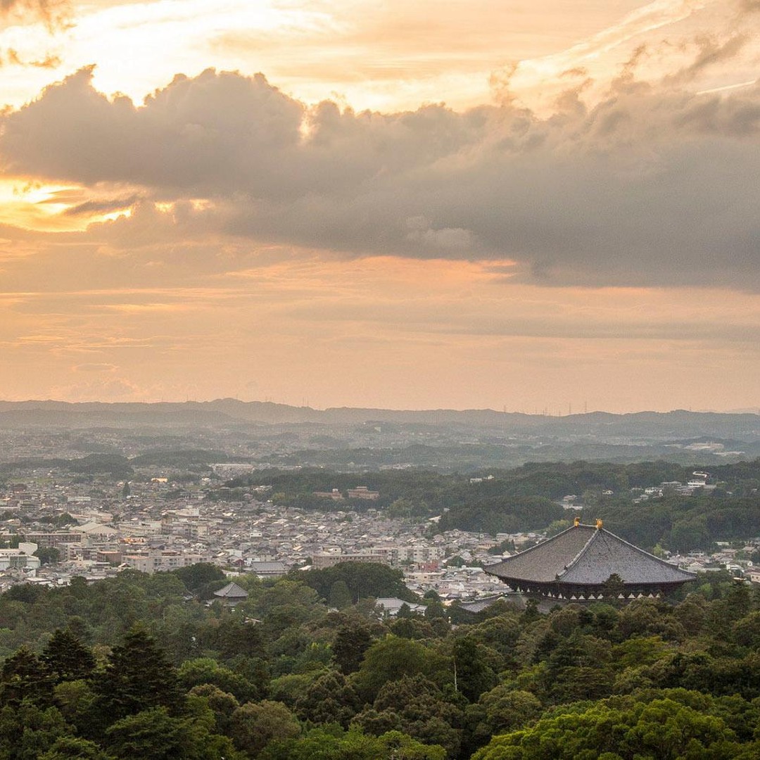Nara Like a Local: Customized Guided Tour | GetYourGuide