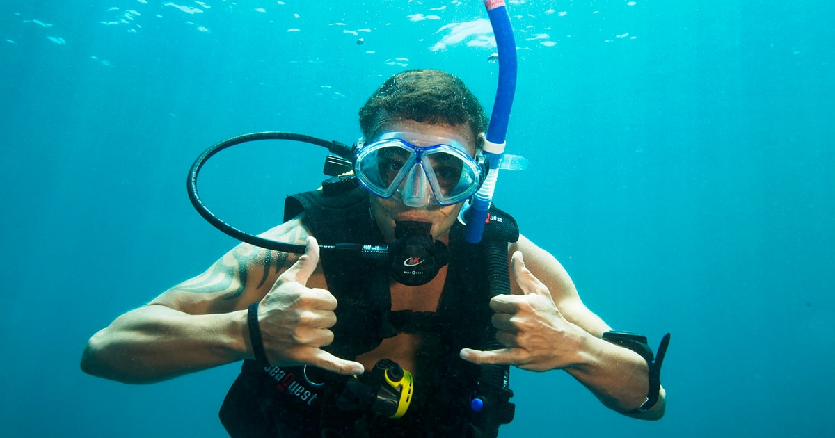 Dagsudflugt til Moreton Island med dykning og meget mere | GetYourGuide
