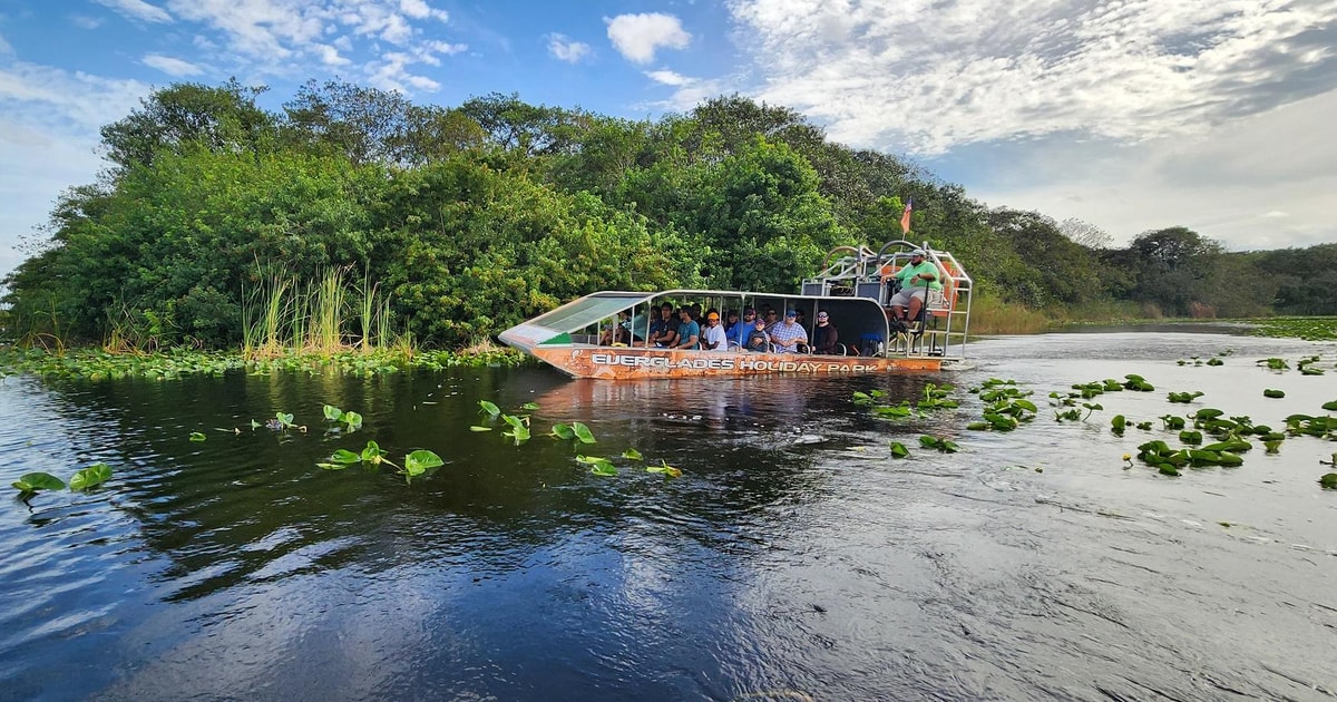 Miami: Everglades Airboat, Gator Encounter & Bus Transfer | GetYourGuide