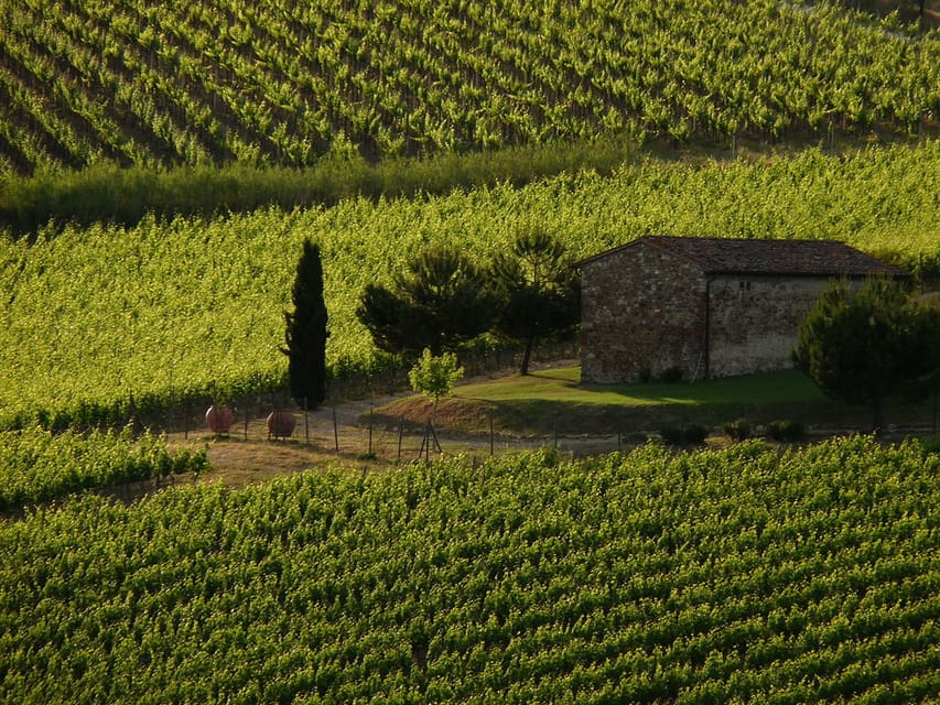 Desde Florencia: Excursión de un día para catar vinos del Chianti al ...