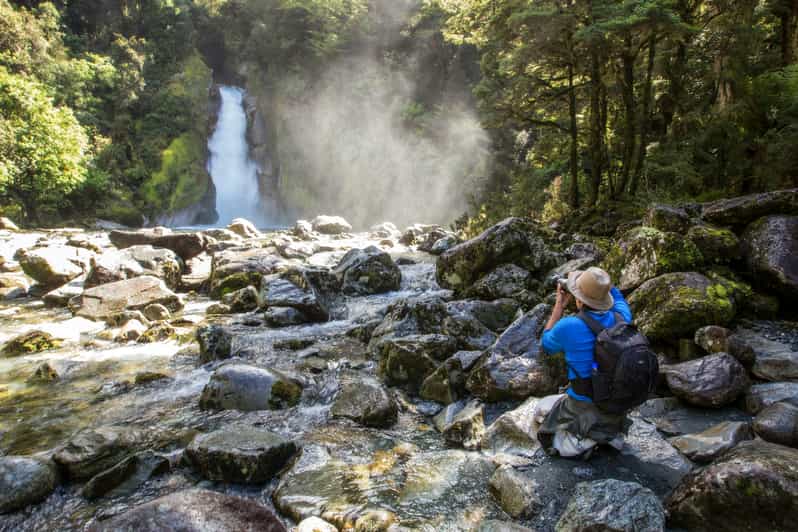 Milford Track: Full Day Guided Hike and Nature Cruise | GetYourGuide