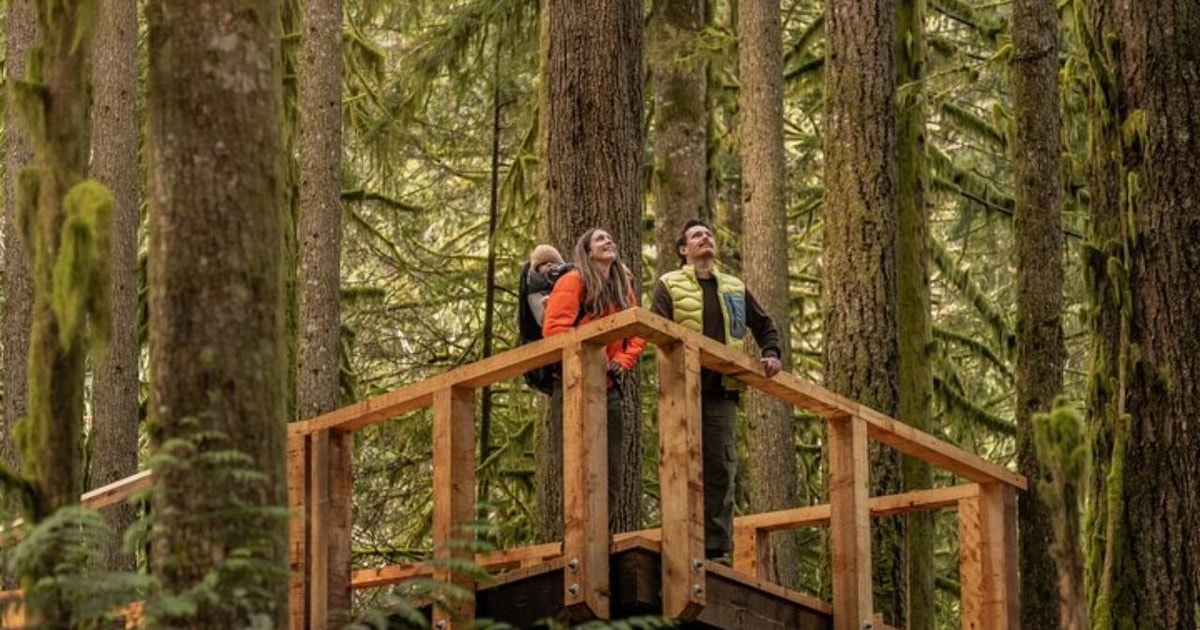 Squamish Canyon: Eintrittskarte | GetYourGuide