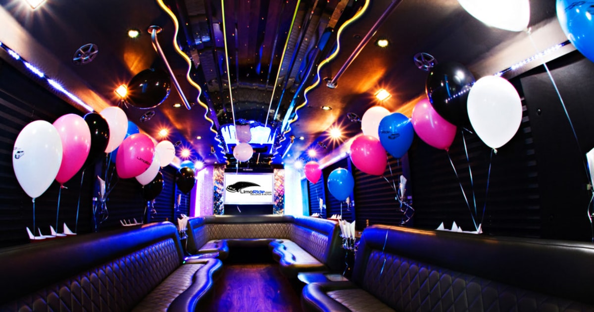 Party Bus & Dancer for 3 hours in Vilnius | GetYourGuide