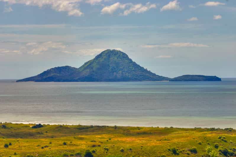 Moutohora (Whale) Island Sanctuary Tour from Whakatane | GetYourGuide
