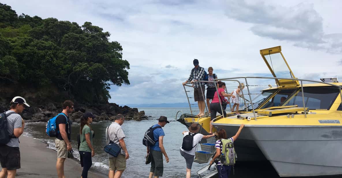 Moutohora (Whale) Island Sanctuary Tour from Whakatane | GetYourGuide