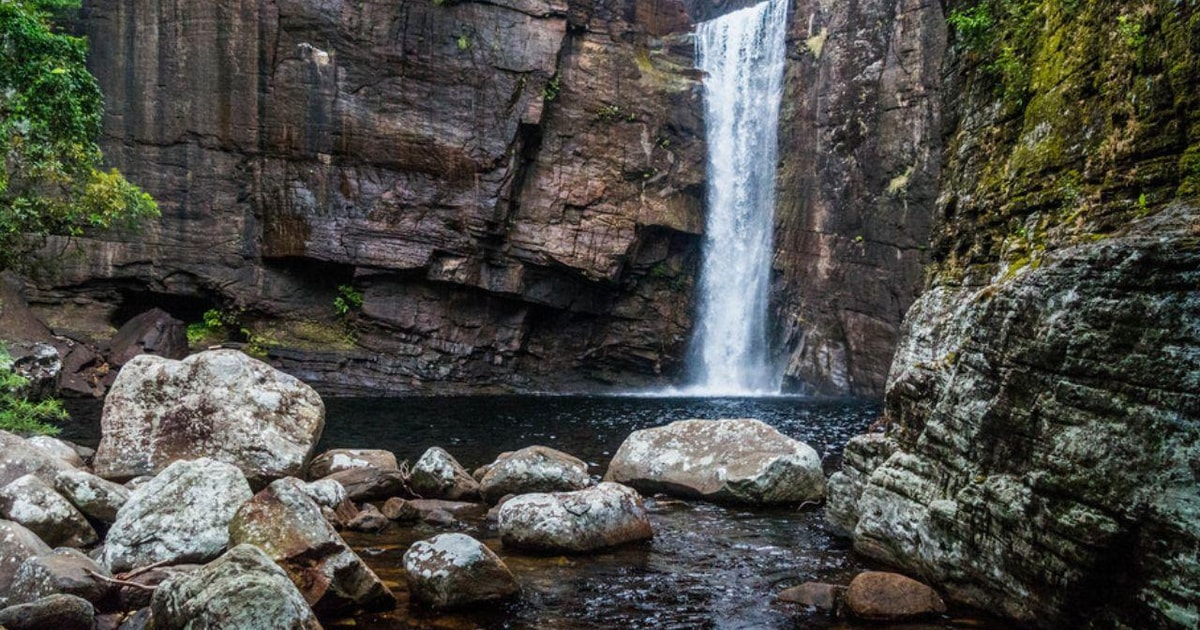 Negombo to Knuckles: Overnight Trekking & Hiking Adventure | GetYourGuide