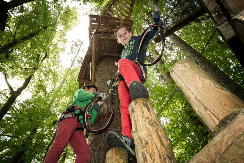 Seilpark Interlaken Climbing Ticket | GetYourGuide