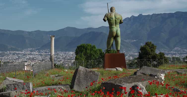 Pompeii and Vesuvius from Naples | GetYourGuide