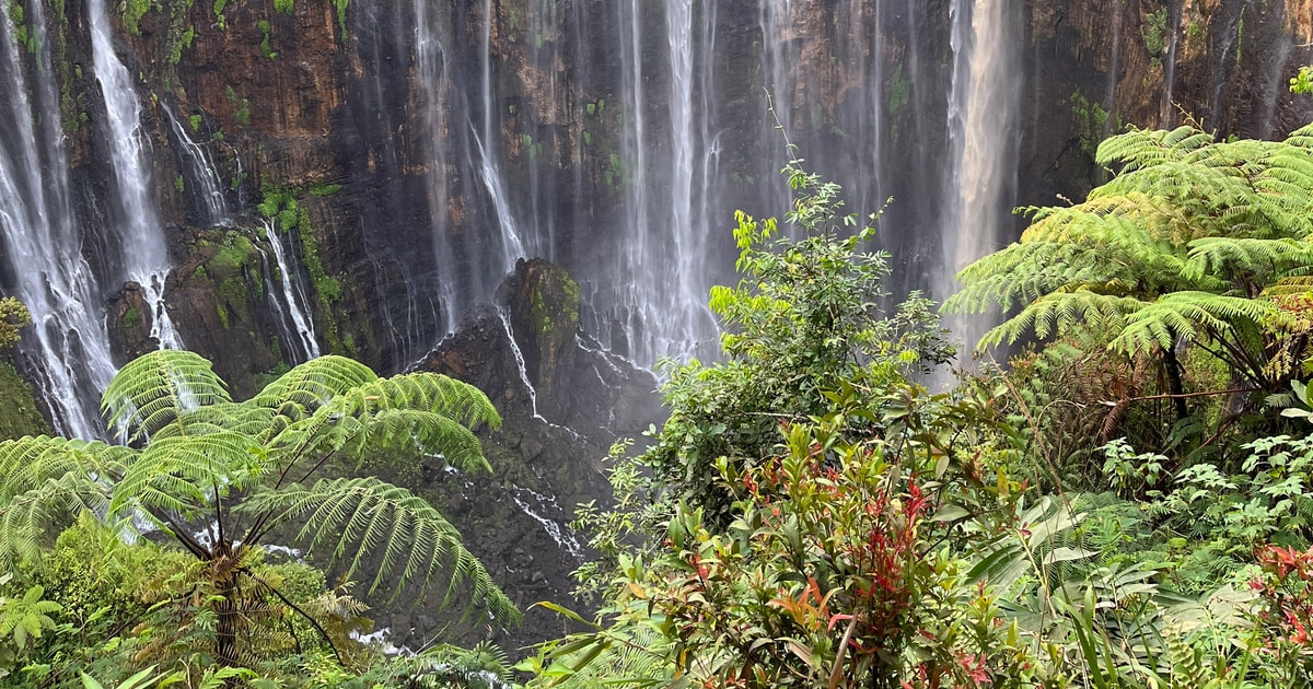 Explore East Java 4D3N Ijen - Bromo - Sewu Waterfall | GetYourGuide