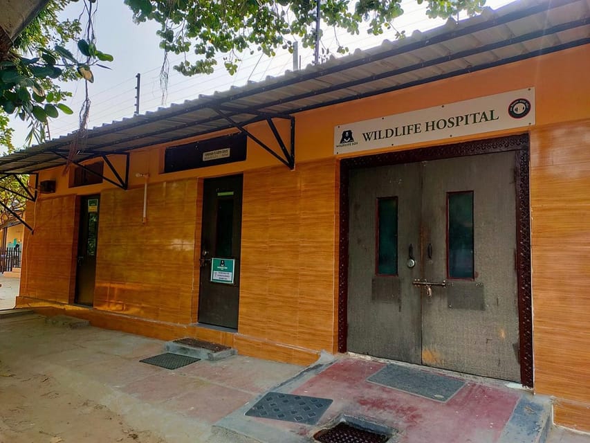 From Agra: Visit to Wildlife SOS Elephant Conservation Trip | GetYourGuide