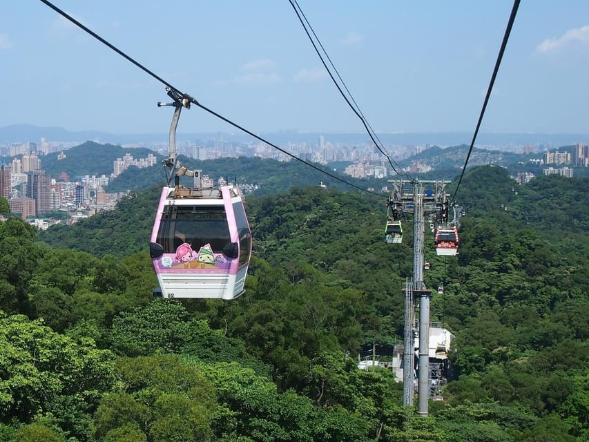 Desde Taipei: Visita guiada de un día a la Cultura del Té de Pinglin y ...