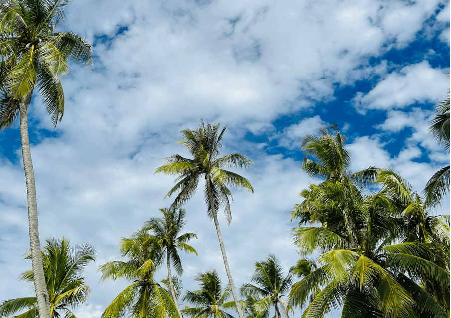 Siquijor Day Tour Coastal Tour | GetYourGuide