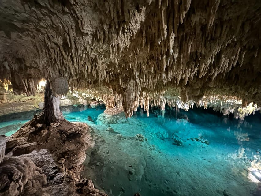 Desde la Riviera Maya: Excursión de Snorkel a 3 Cenotes | GetYourGuide