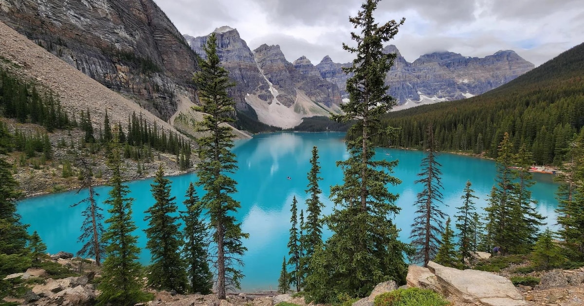 Banff: Wildlife-Focused Guided Hikes | GetYourGuide