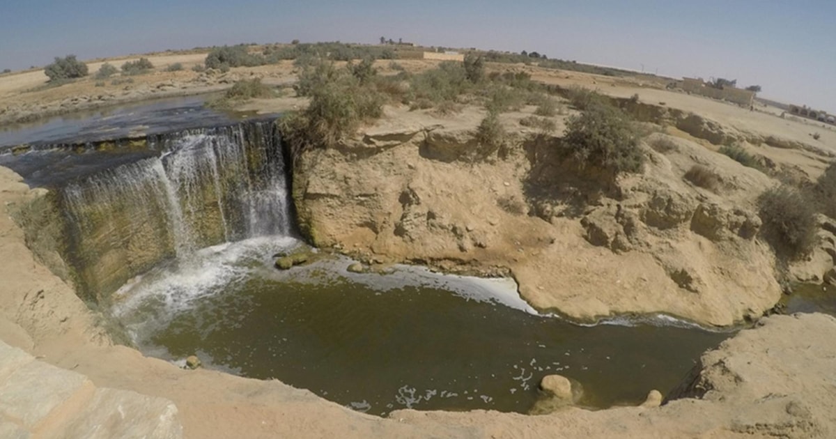 Kairo: Fayoum Fayoum, Wadi El Rayan och Wadi al Hitan 4x4-tur ...
