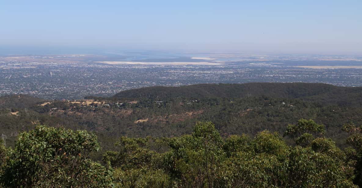 Mount Lofty Summit Hike and Cleland Wildlife Park Visit | GetYourGuide