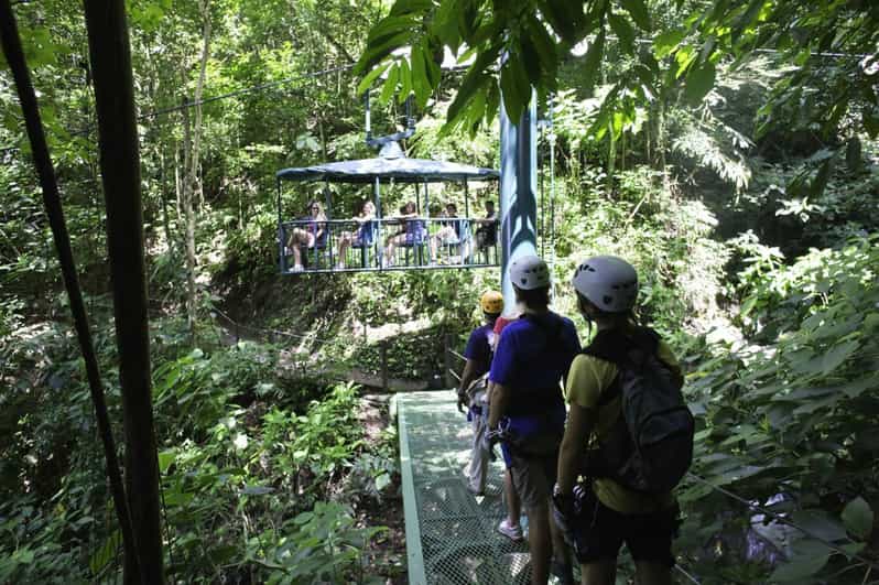 Canopy Zip line & Aerial Tram Tour | GetYourGuide