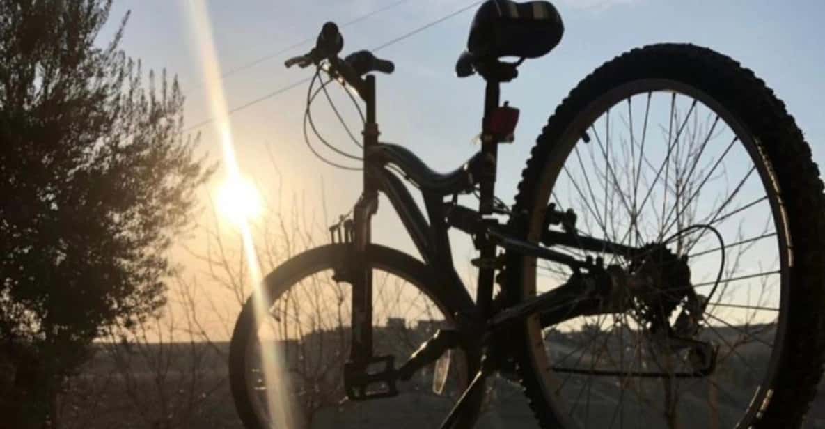 Riyadh: Bicycle Tour | GetYourGuide