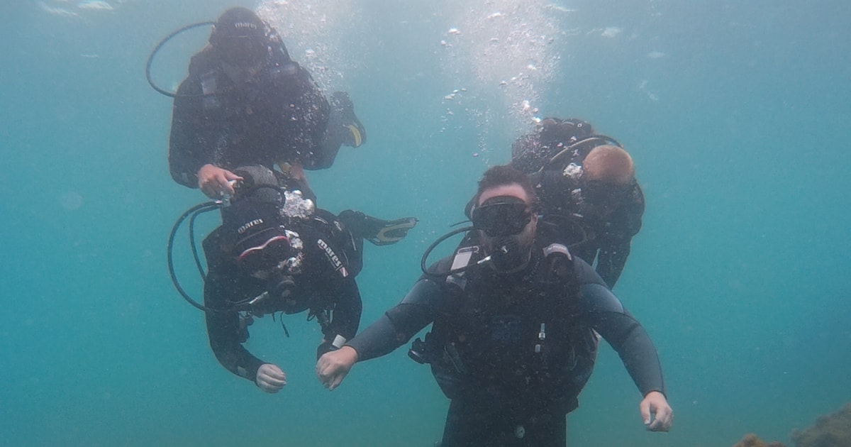 Prueba de inmersión de 20 minutos para principiantes | GetYourGuide