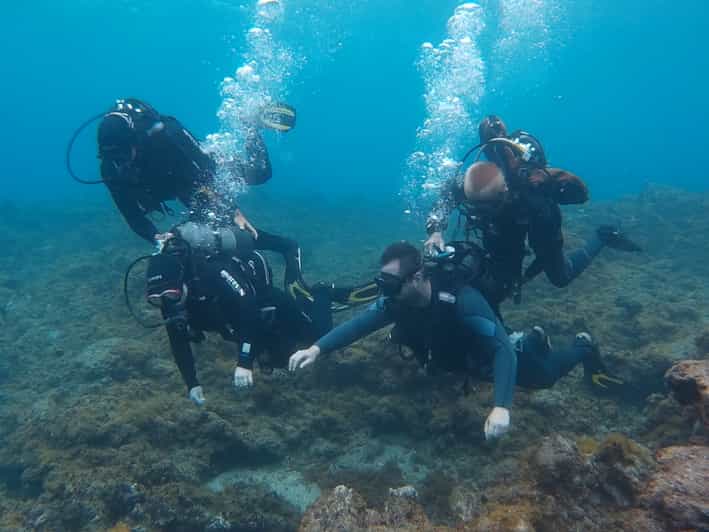 40 Minute Try Dive for Beginners | GetYourGuide