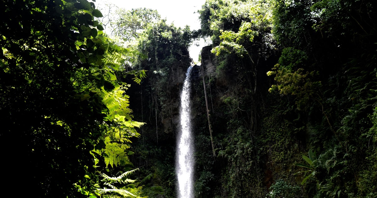 Arusha: Scenic Trek to Napuru Waterfalls | GetYourGuide