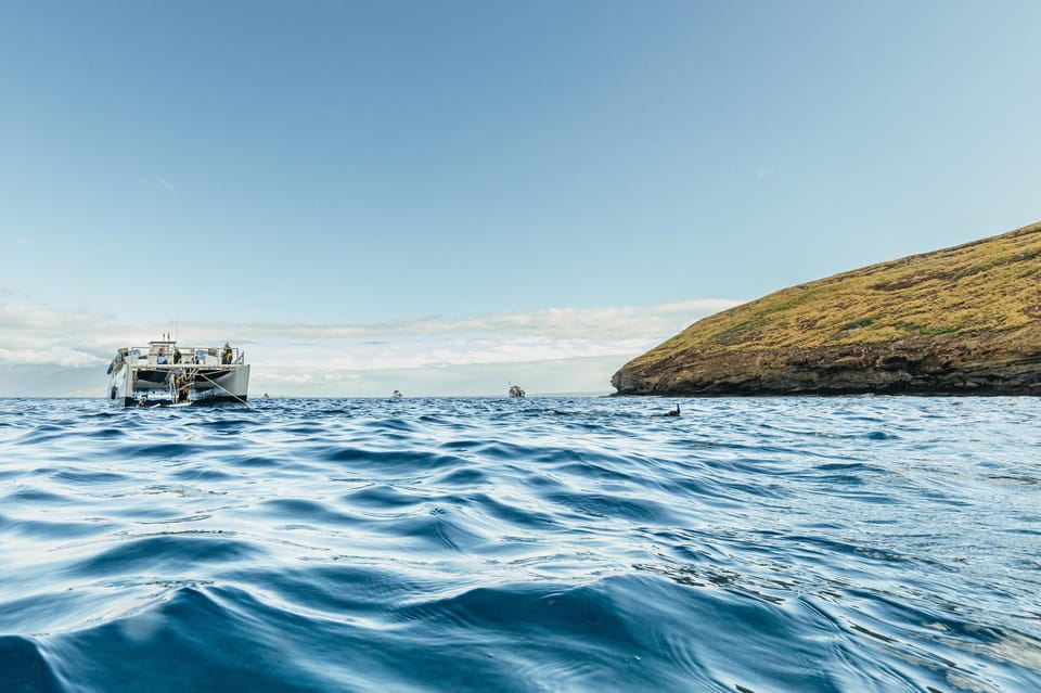 Malolo Molokini Snorkeling Tour Photos at Irene Rayburn blog