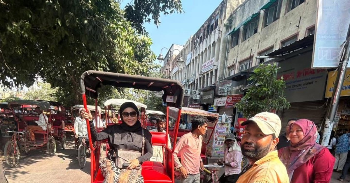 Scopri la vecchia e la nuova Delhi: tour guidato di mezza giornata o di ...