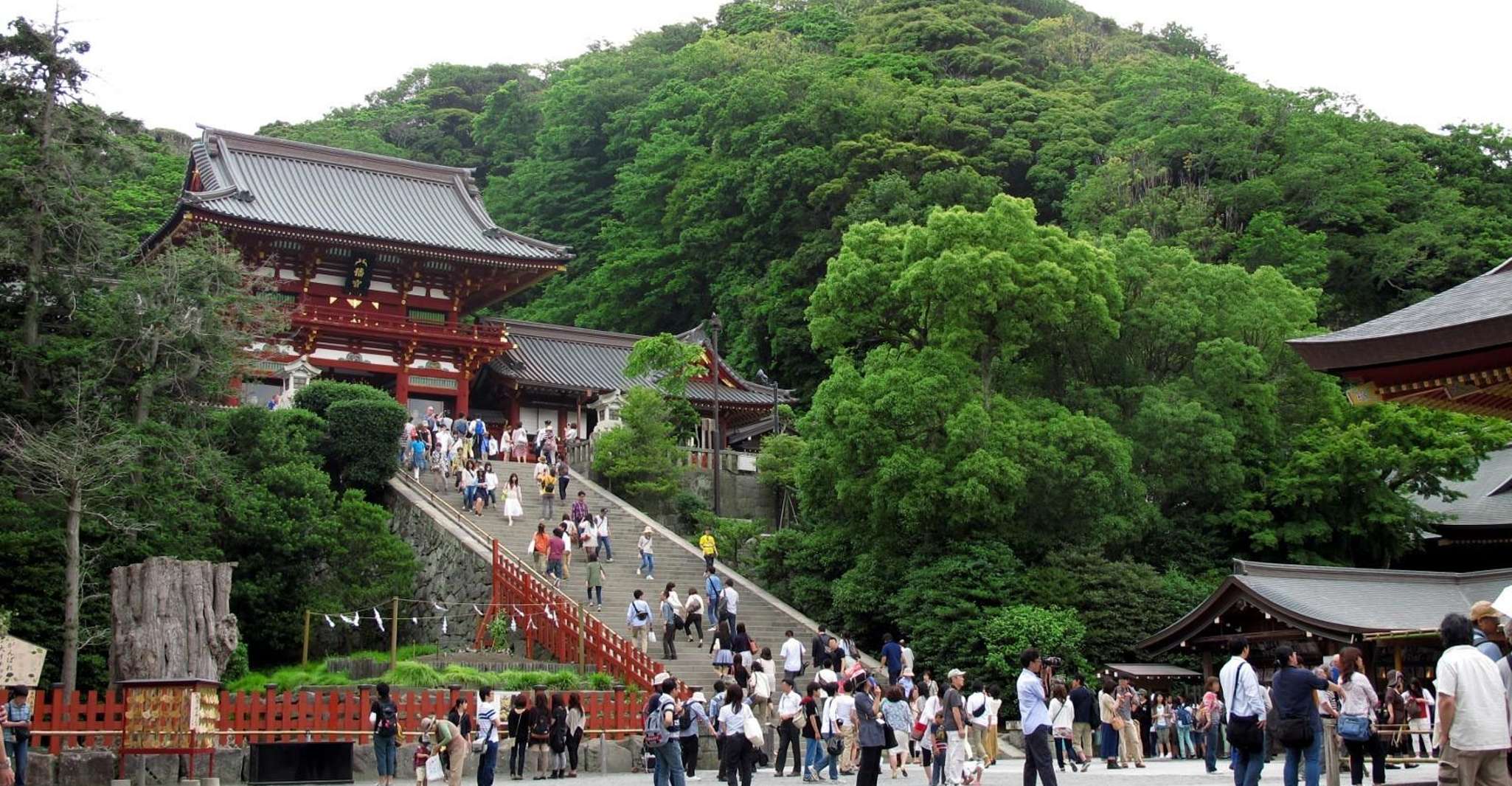 Kamakura, Great Buddha, Hase Temple, & Komachi Street Tour | Private ...