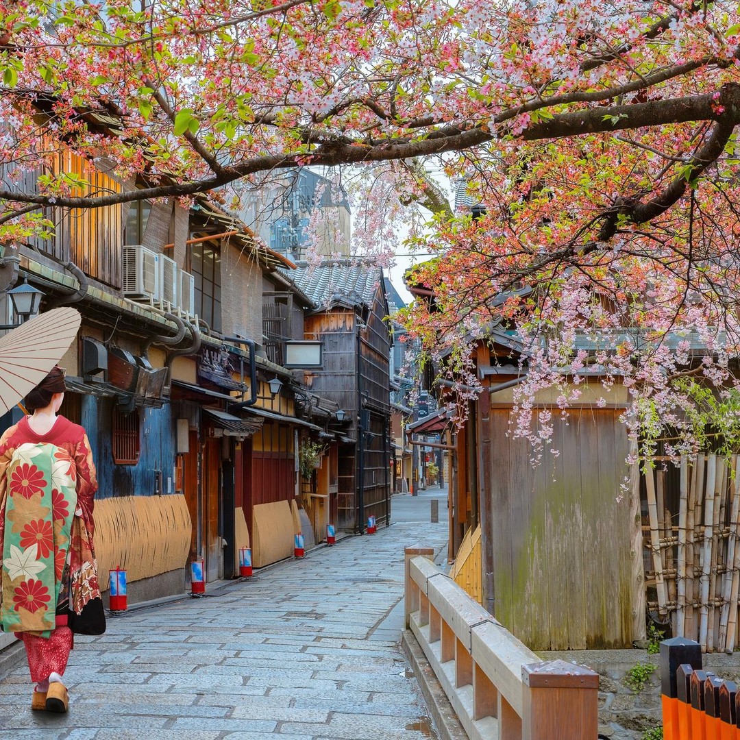 Servizio fotografico privato a Kyoto: Fushimi Inari, Gion e bambù | GetYourGuide