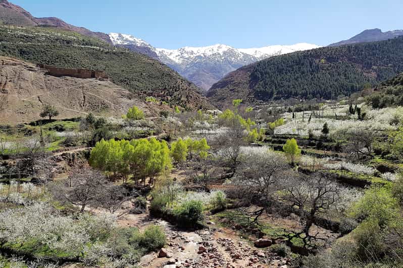 From Marrakech: High Atlas Mountains and 5 Valleys Day Trip | GetYourGuide