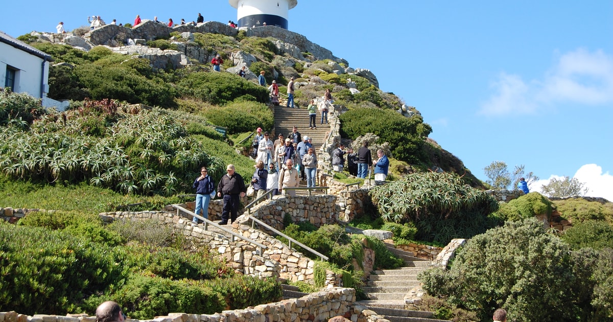 Half Day Cape Point Tour | GetYourGuide