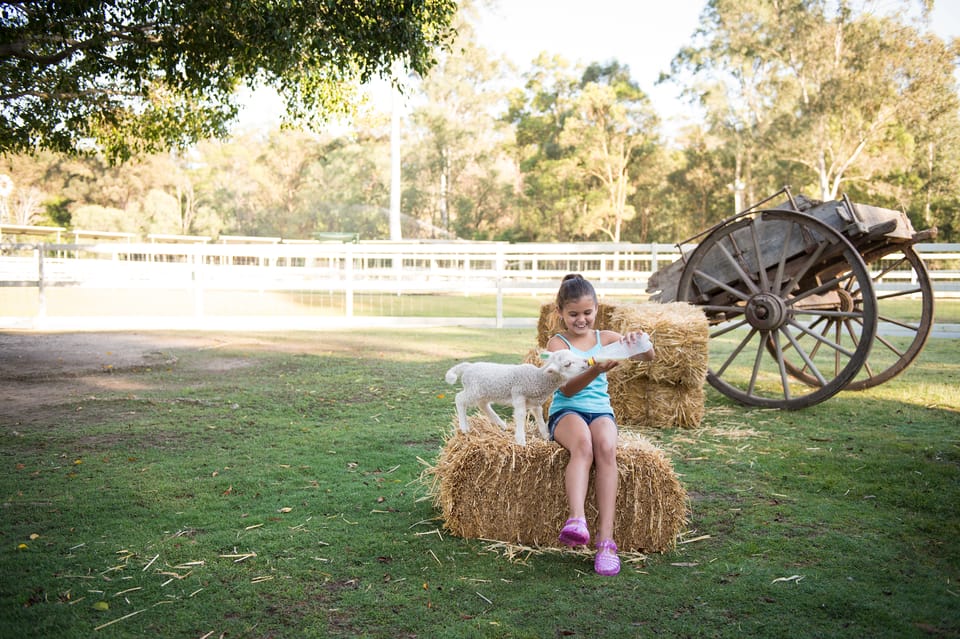 Paradise Country: Ultimate Aussie Farm Experience | GetYourGuide