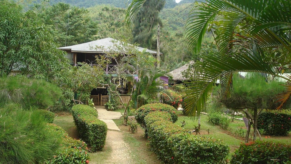 Mayfield Falls River Walk with Private Transportation | GetYourGuide