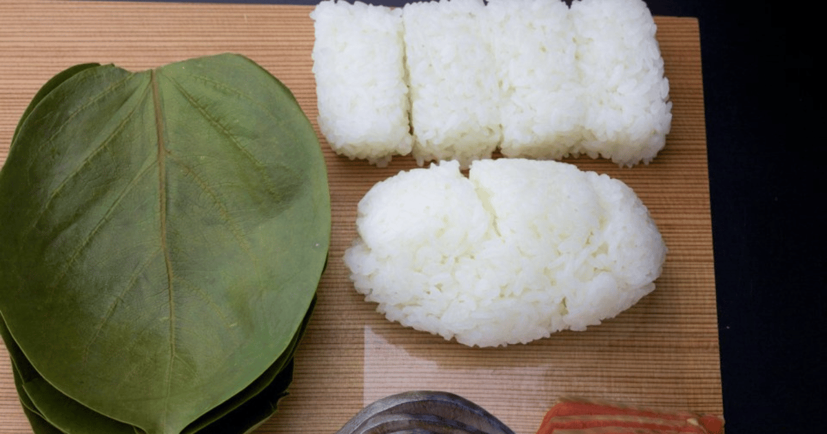 Nara: Experiencia de elaboración de sushi Kakinoha | GetYourGuide
